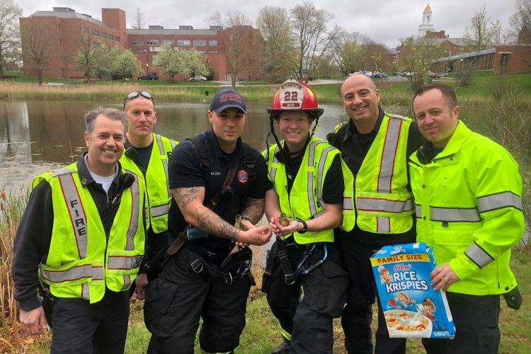 Photo Gallery | Fire